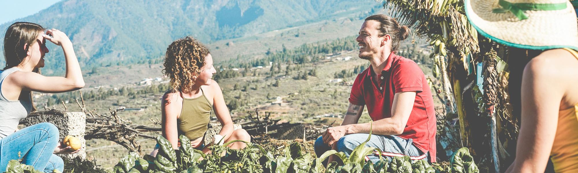 RDF West Heads to the Outback for Channel 4 Series | Channel 4